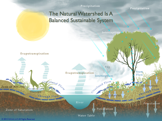 Clean Water - Surfrider Foundation