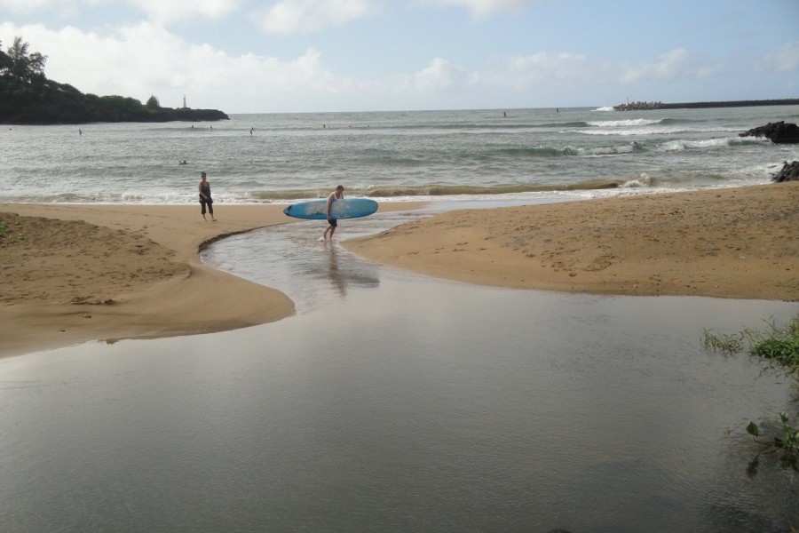 Home - Surfrider Foundation