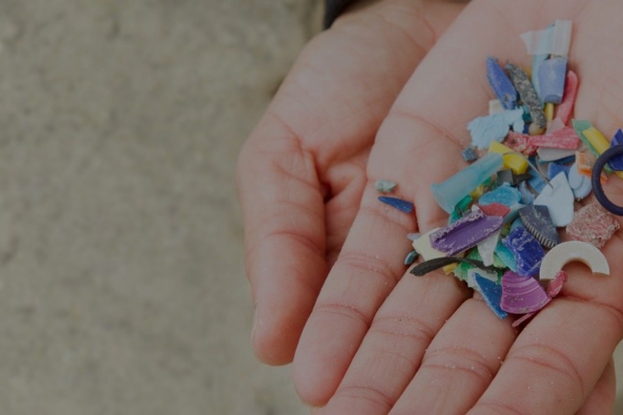 Home - Surfrider Foundation