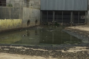 Clean Water - Surfrider Foundation