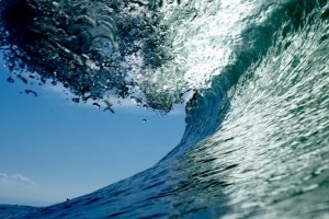 Ocean Friendly Gardens - Surfrider Foundation