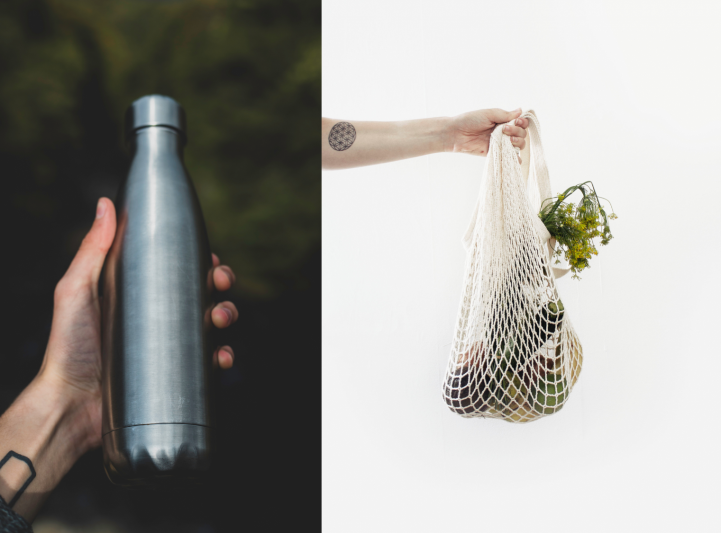 Choose Reusables to Avoid Consuming Chemicals – Surfrider Foundation